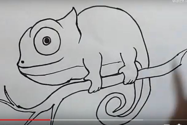How to Draw a Chameleon step by step