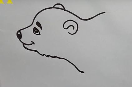How to draw a bear cute and easy step by step