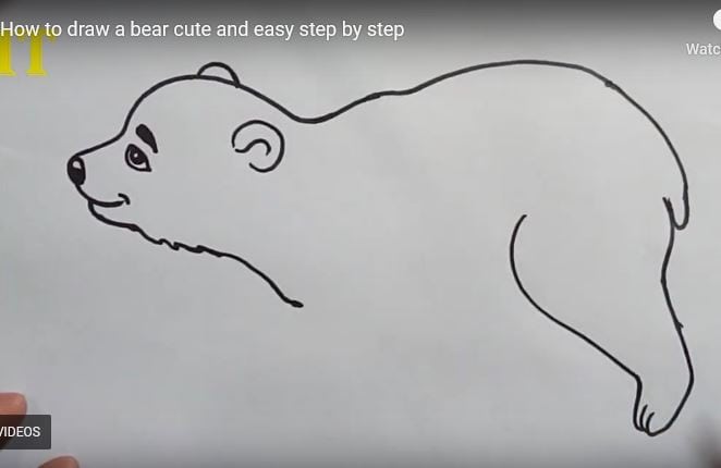 How to draw a bear cute and easy step by step