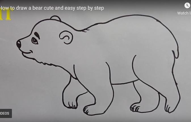 How to draw a bear cute and easy step by step