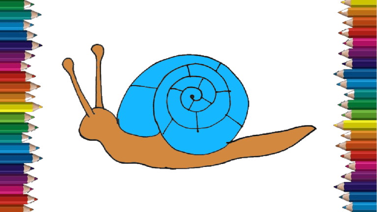 How to draw a snail step by step - Cartoon Snail drawing easy for kids