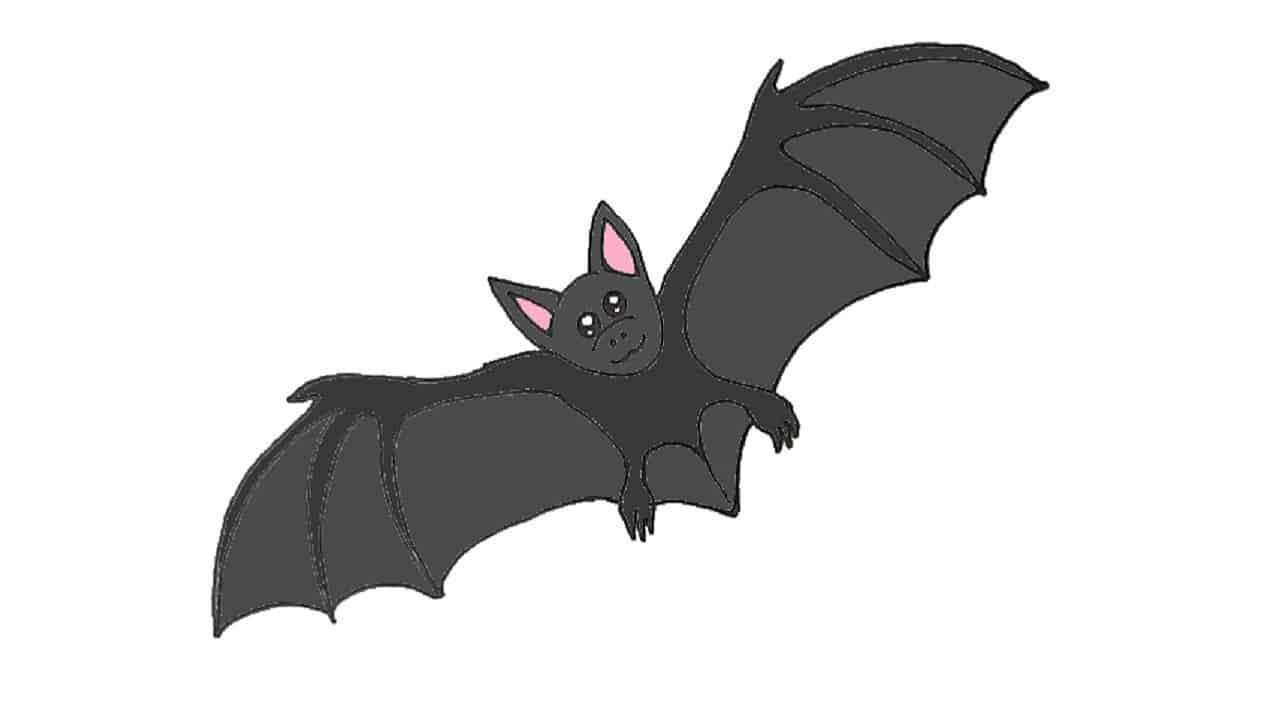 How To Draw A Bat Easy