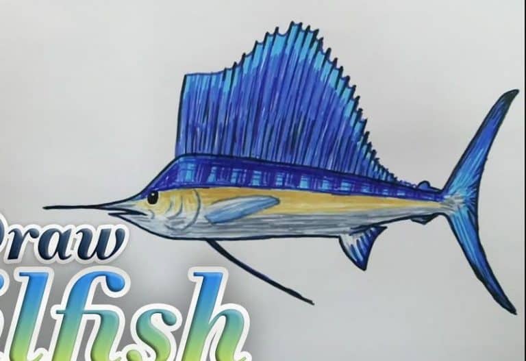 How to Draw a Swordfish Step by Step