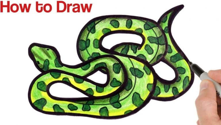 How to Draw a Green Anaconda Step by Step