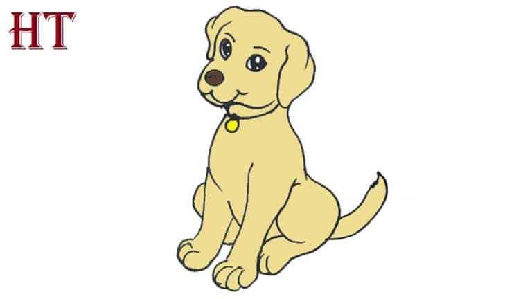 Cartoon Labrador Dog Drawing easy Step by Step