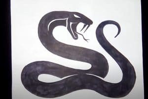How To Draw A Black Mamba - How to draw step by step
