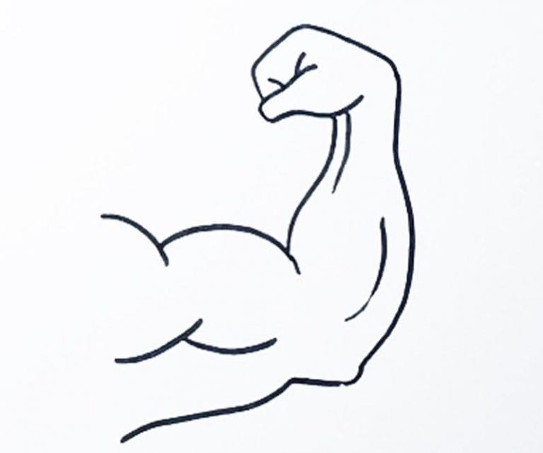 How To Draw A Muscle Step by Step