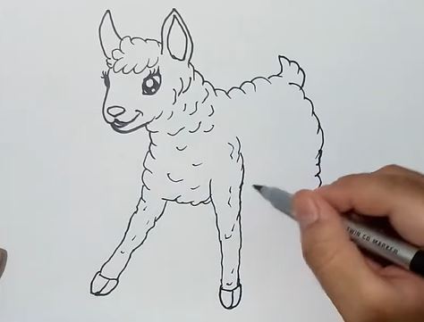 How to Draw a Cute Lamb Step by Step