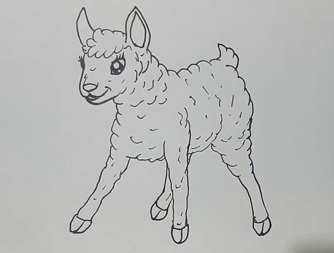 How to Draw a Cute Lamb Step by Step