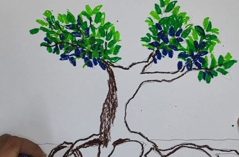 How to Draw a Mangrove Tree Step by Step