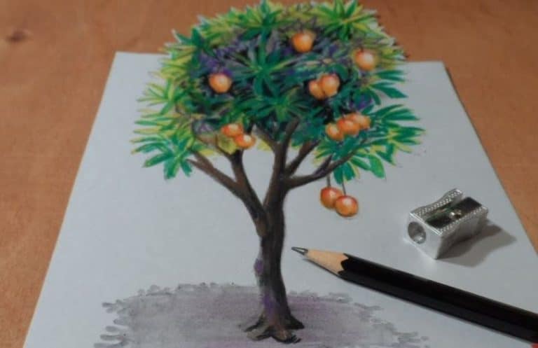 Mango Tree Drawing with Pencil Step by Step