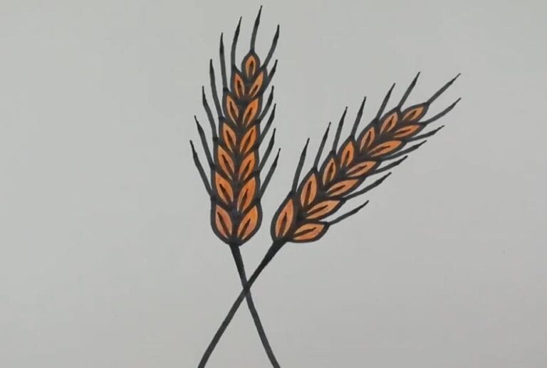 How to Draw Wheat easy for Beginners