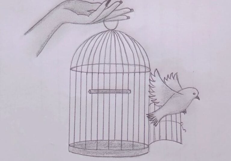 How to Draw a Bird Cage Step by Step
