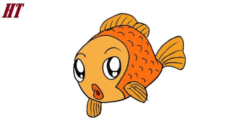 How to Draw an Easy Fish Step by Step