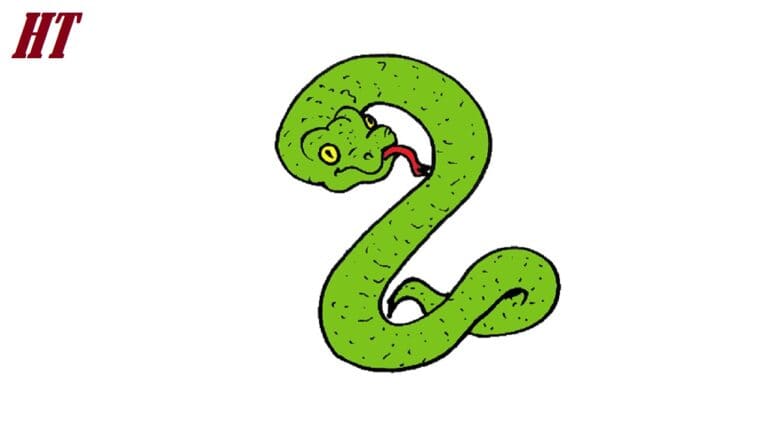 How to Draw an Easy Snake Step by Step