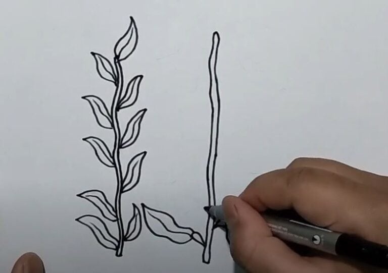 How to Draw Kelp Step by Step