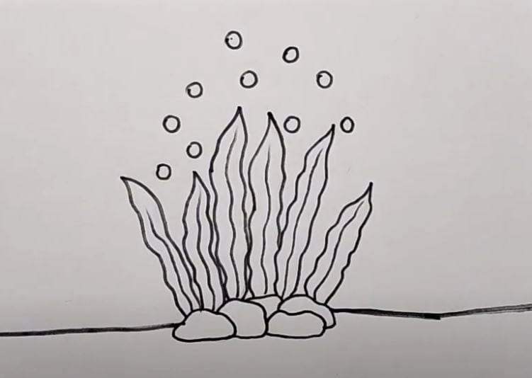 How to Draw Seaweed step by sep