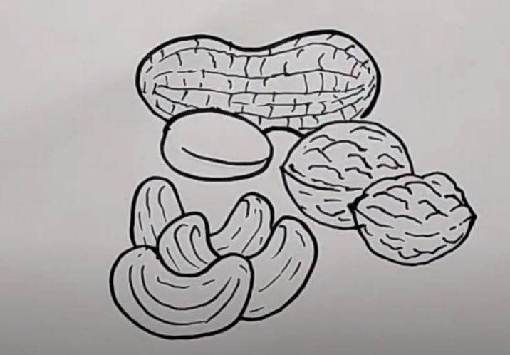How to draw a Nuts 6 - HTDraw.com
