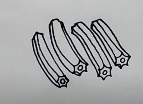 How to Draw Churros Step by Step