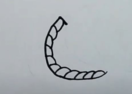 How to Draw Dumplings Step by Step
