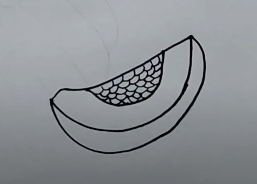 How to Draw a Squash 2 - HTDraw.com