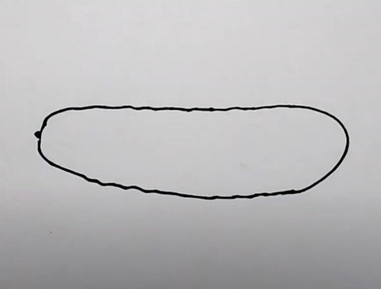 How to Draw a Pickle step by step