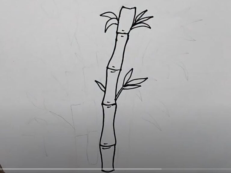 How to draw Bamboo step by step