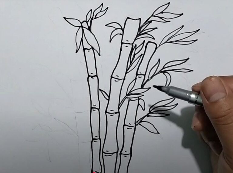 How to draw Bamboo step by step