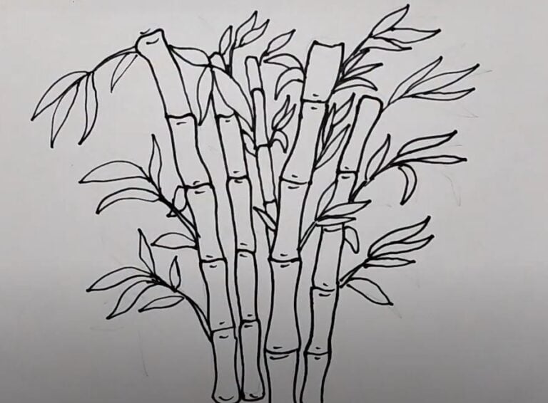 How to draw Bamboo step by step