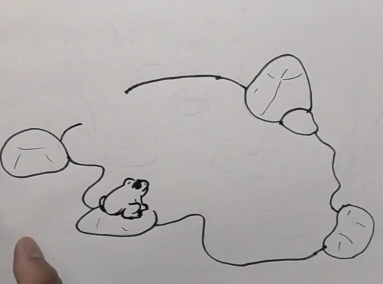 Turtle drawing step-by-step. - HTDraw.com