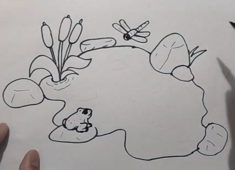 Beautiful pond Drawing Step by Step