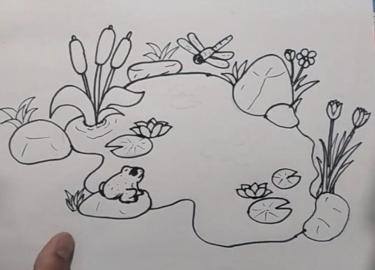 Beautiful pond Drawing Step by Step