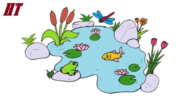 Drawing pond step by step, cute pond with fish, frog, lotus, and rocks ...