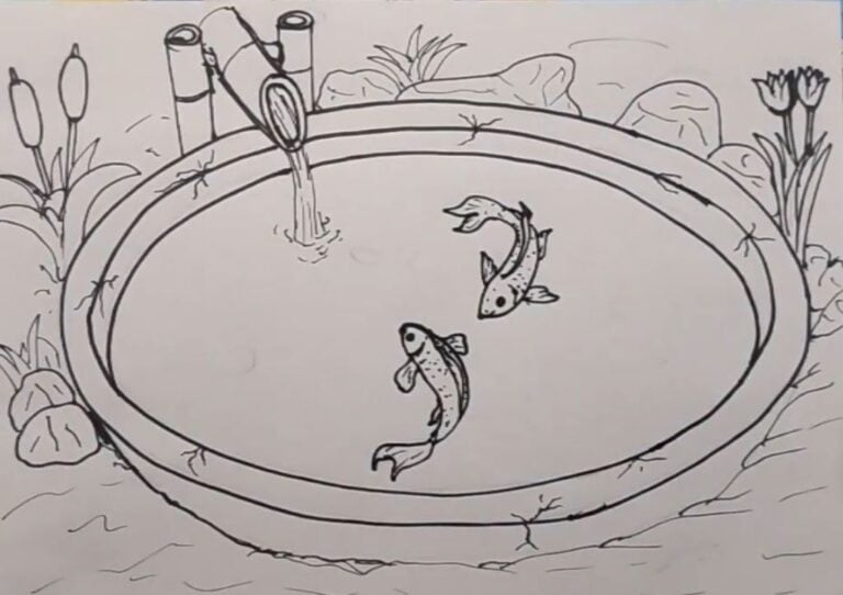 How to draw Fish in Pond step by step