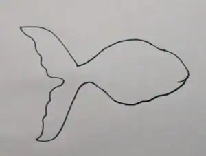 Fish Drawing Tutorial. - HTDraw.com