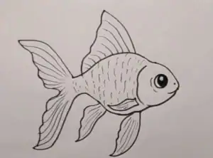 Beautiful fish drawing tutorial step by step, perfect for beginners and ...